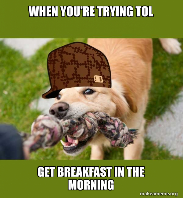When you're trying tol Get breakfast in the morning - Scumbag dog ...