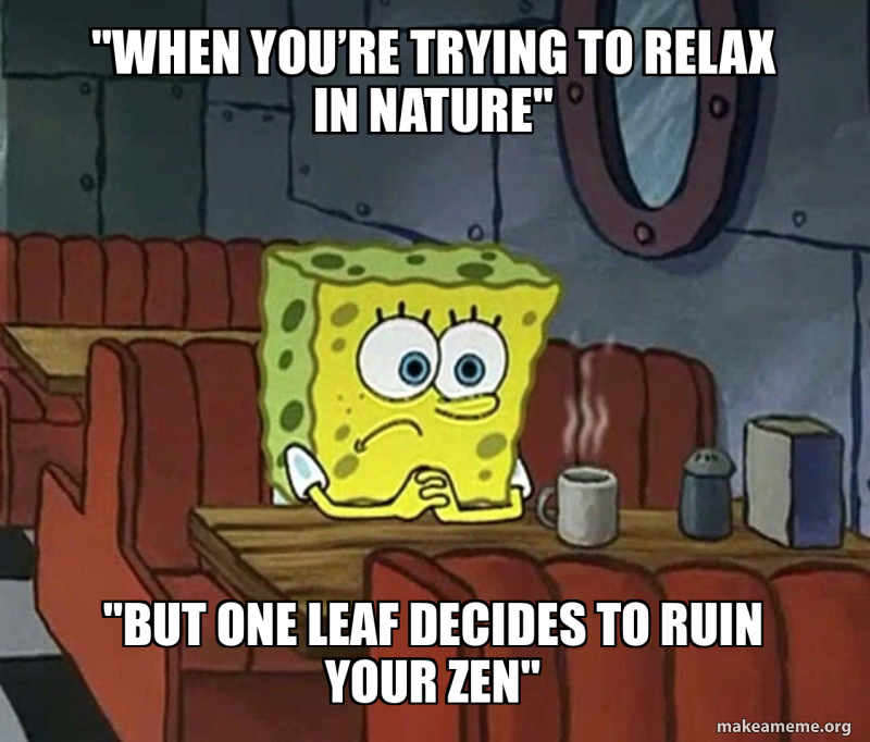 "When you’re trying to relax in nature" "But one leaf decides to ruin ...
