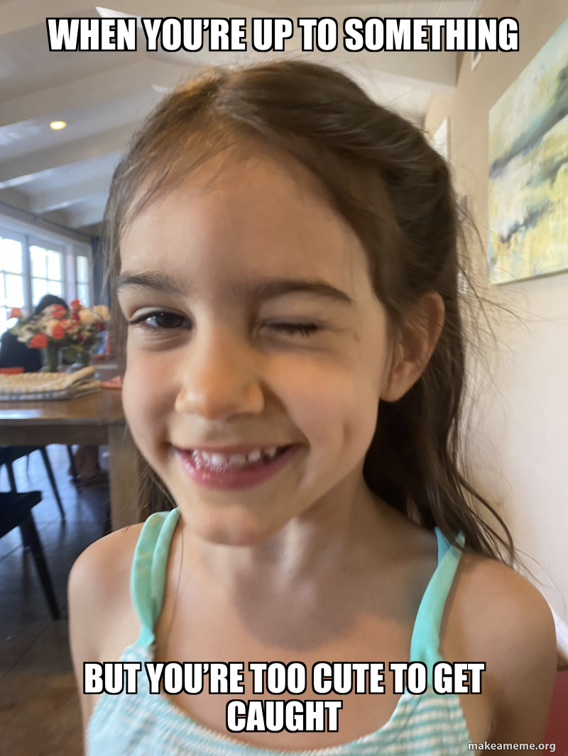 When you’re up to something But you’re too cute to get caught Meme Generator