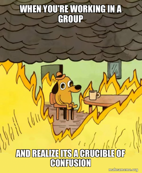 When you're working in a group and realize its a crucible of confusion ...