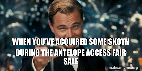 When you've acquired some $KOYN during the Antelope Access fair sale ...