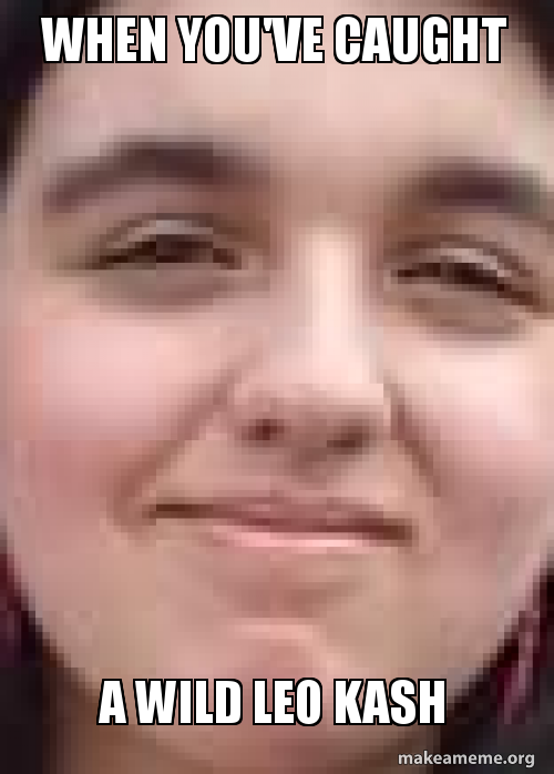when you've caught a wild leo kash Meme Generator