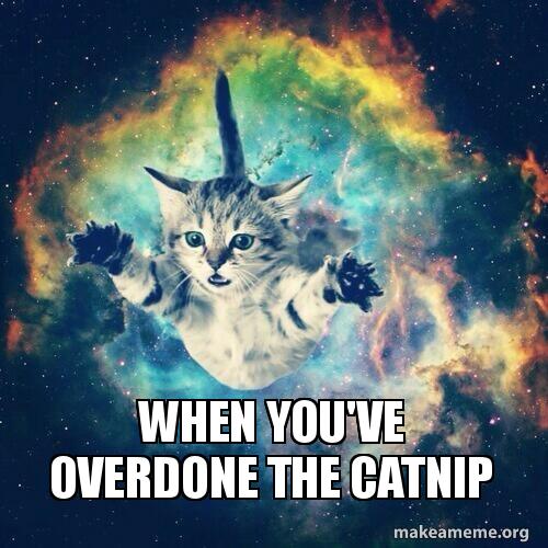 when you've overdone the catnip - Spaced out feline Meme Generator