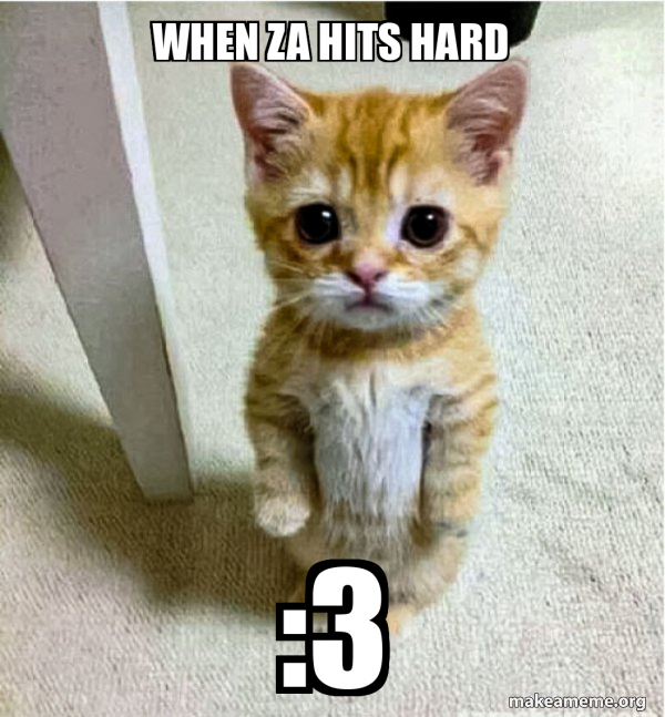 When za hits hard :3 - Cute Cat Standing Meme Generator