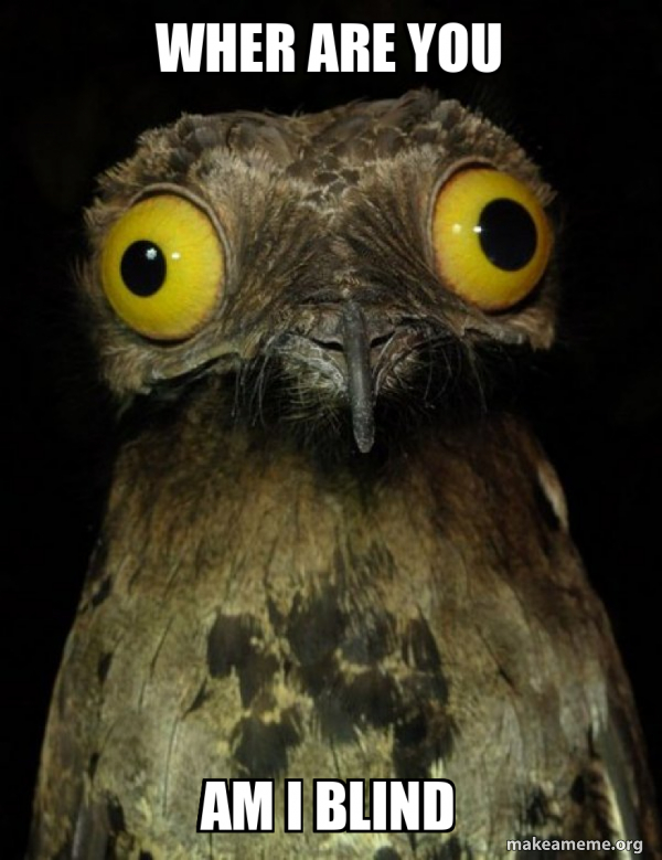 WHER ARE YOU AM I BLIND - Weird Stuff I do Potoo Meme Generator