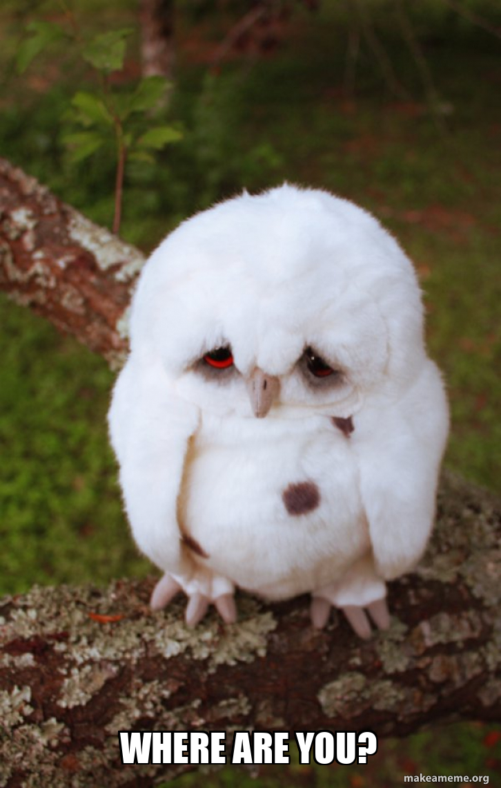Where are you? - Sad Owl Meme Generator
