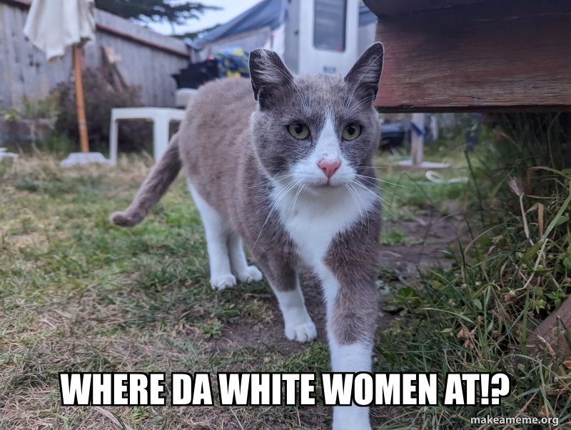 WHERE DA WHITE WOMEN AT!? Meme Generator