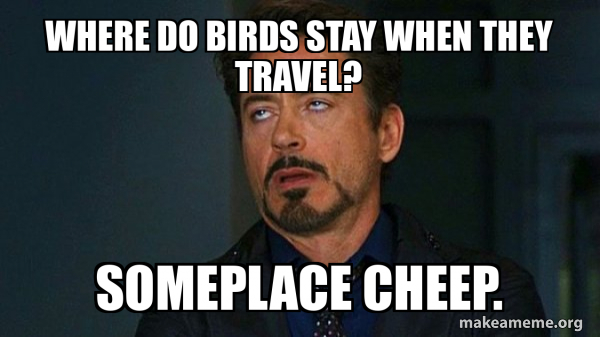 Where do birds stay when they travel? Someplace cheep. - Tony Stark Eye ...