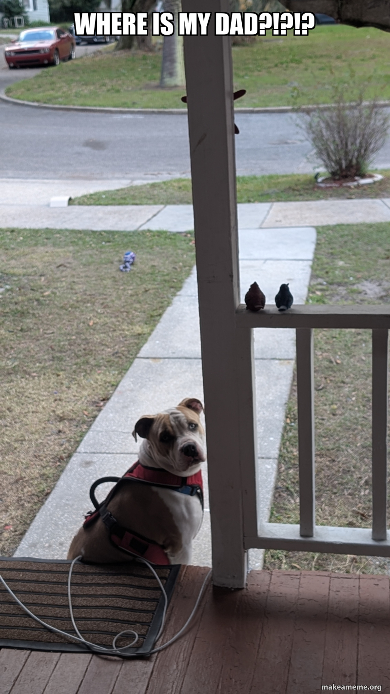 Where is my dad?!?!? Meme Generator