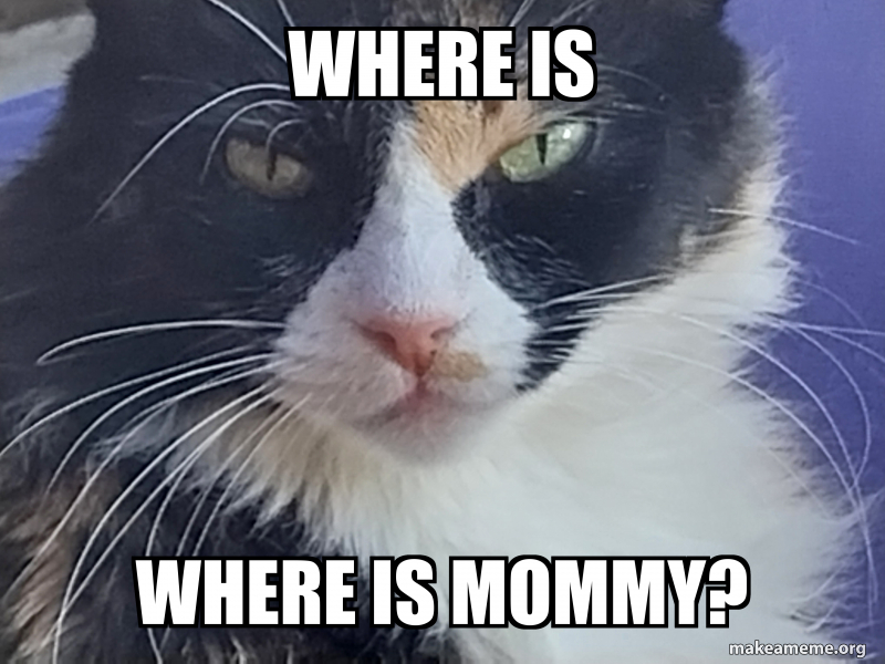 WHERE IS WHERE IS MOMMY? Meme Generator