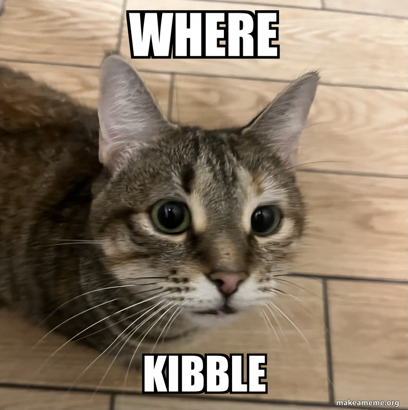 where KIBBLE Meme Generator