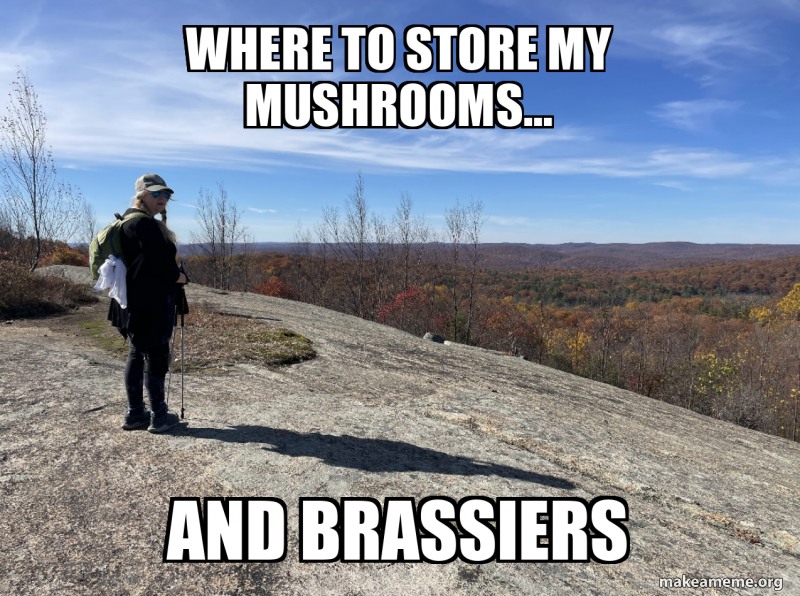 Where To store my mushrooms… And brasSIers Meme Generator