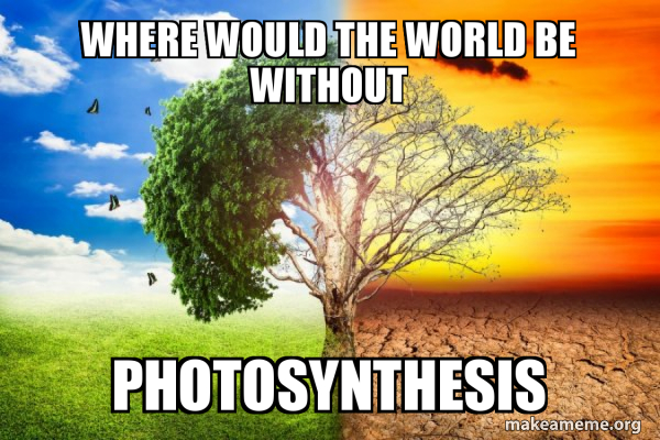 Where would the world be without Photosynthesis - Climate Change ...