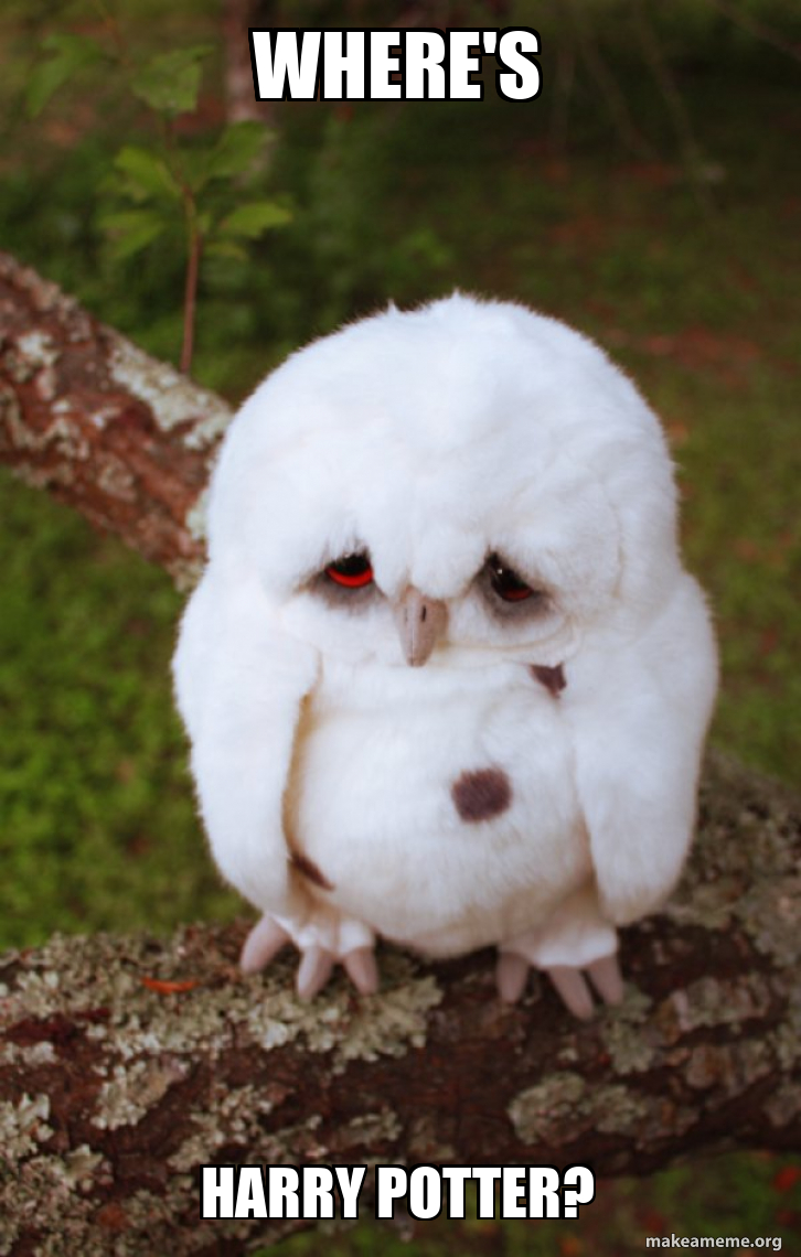 Where's Harry Potter? - Sad Owl Meme Generator