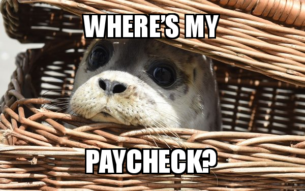 Whereâ€™s my Paycheck? - Impending Doom Seal Meme Generator