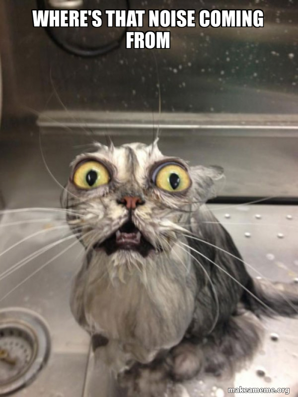 where's that noise coming from - Cat bath Meme Generator