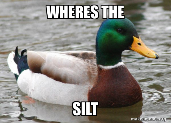 wheres the silt - Actual Advice Mallard Meme Generator