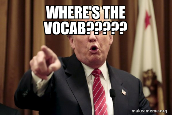 where's the vocab????? - Donald Trump Says Meme Generator