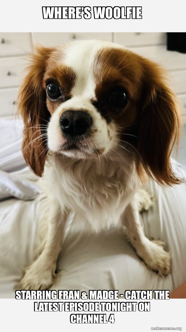 Where’s Woolfie Starring Fran & Madge - catch the latest episode ...