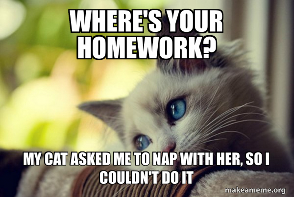 where's your homework? my cat asked me to nap with her, so I couldn't ...