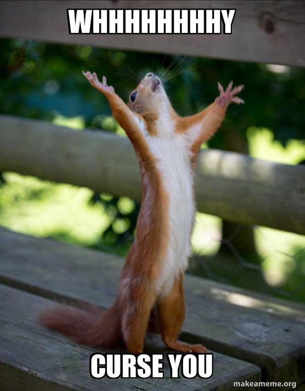 WHHHHHHHHY CURSE YOU - Happy Squirrel Meme Generator
