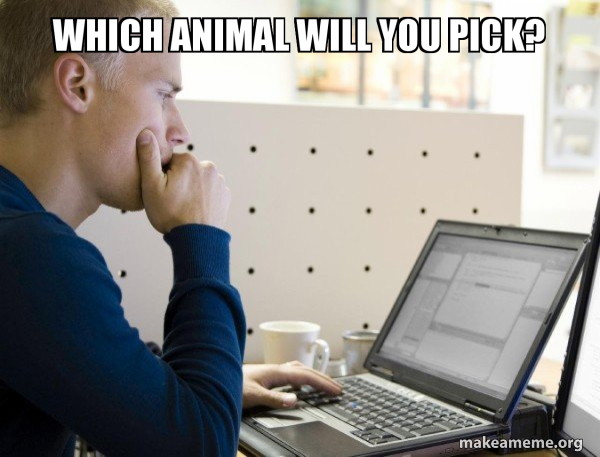 Which animal will you pick? - Programmer Meme Generator