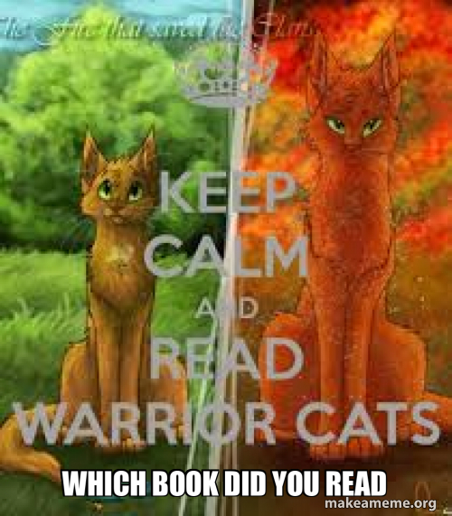 WHICH book did you read - warrior cats Meme Generator