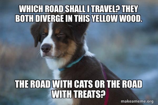 Which road shall I travel? they both diverge in this yellow wood. The ...