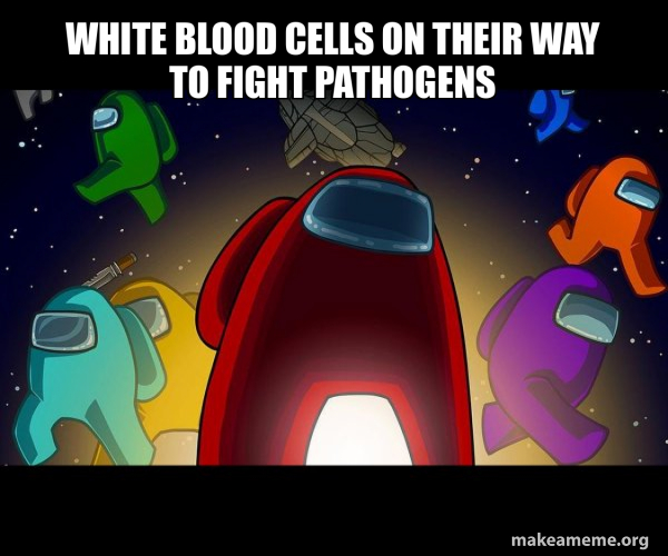 White blood cells on their way to fight pathogens - Among Us Meme Generator