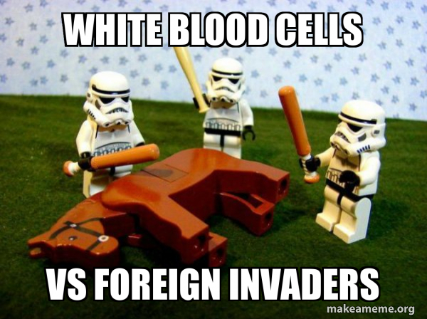 white blood cells vs foreign invaders - Flogging a Dead Horse Meme ...