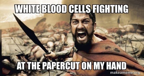 White blood cells fighting at the papercut on my hand - The 300 Meme ...