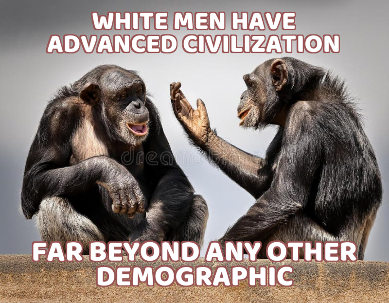 White men have advanced civilization Far beyond any other demographic ...