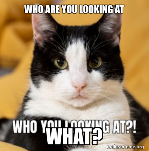 who are you looking at what? Meme Generator