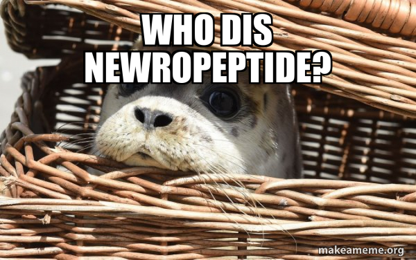Who dis Newropeptide? - Impending Doom Seal Meme Generator