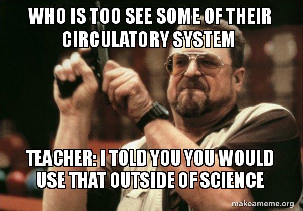 Circulatory System Memes Cardiovascular System Anatomy And Physiology: