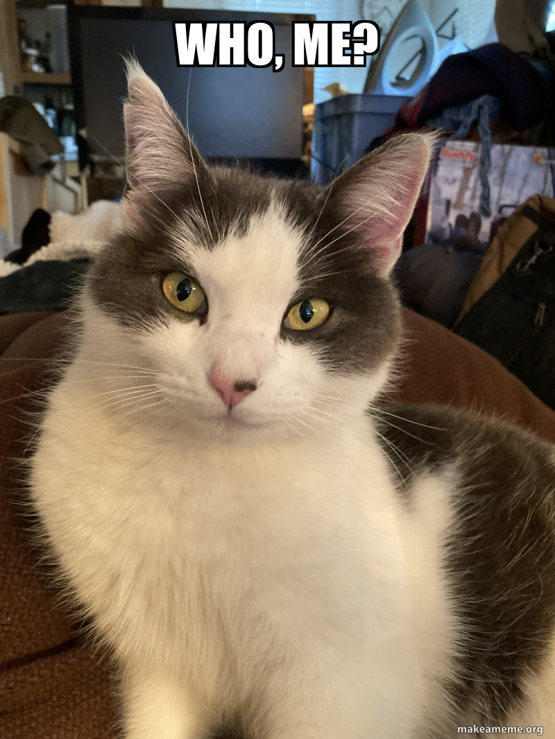 Who, me? Meme Generator