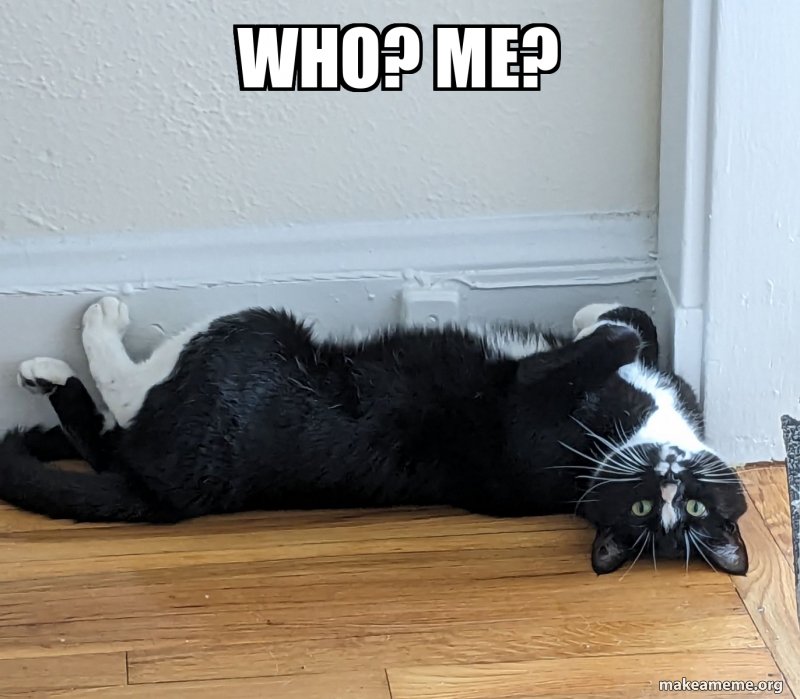 Who? Me? Meme Generator