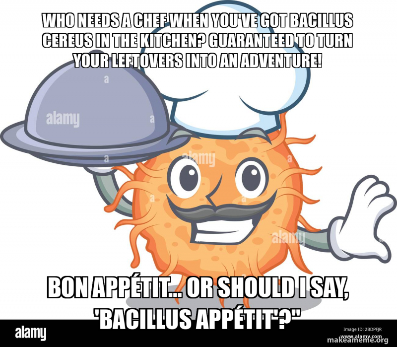 Who needs a chef when you've got Bacillus cereus in the kitchen ...