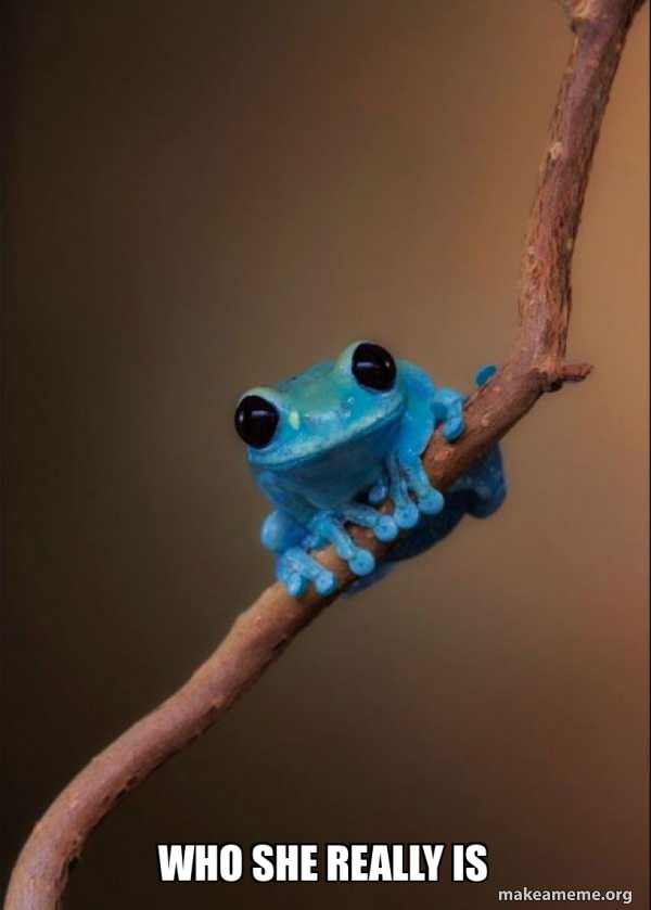Who She Really Is - Small Fact Frog Meme Generator