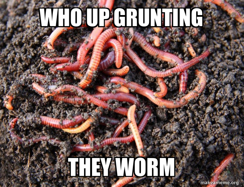 Who up grunting They worm Meme Generator