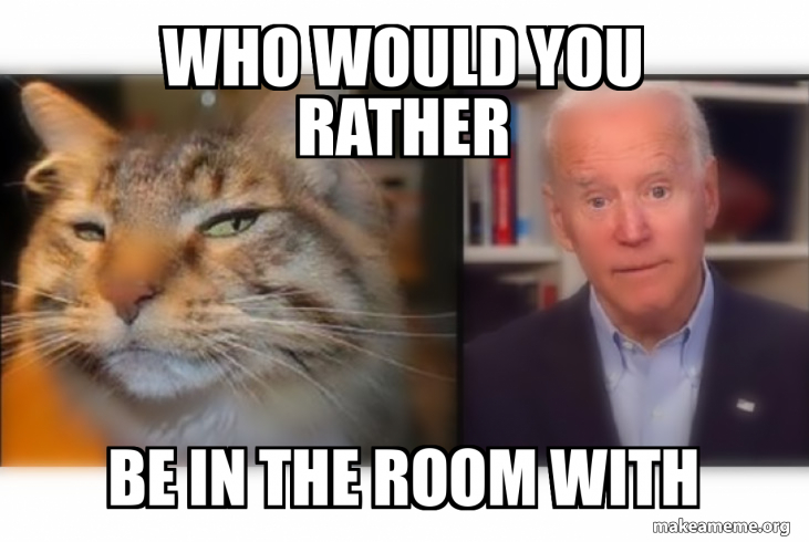 who would you rather be in the room with Meme Generator