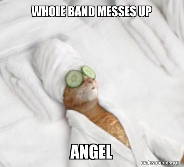 Whole Band messes up Angel - Pampered Cat Meme Meme Generator