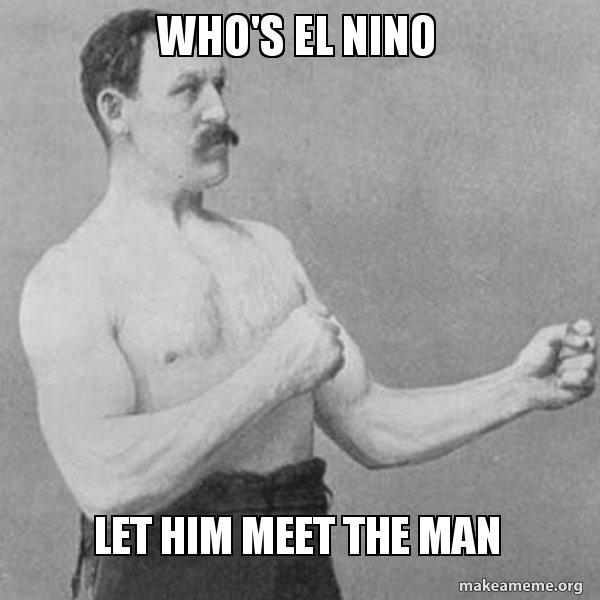 Who's El Nino let him meet the Man - Overly Manly Man Meme Generator