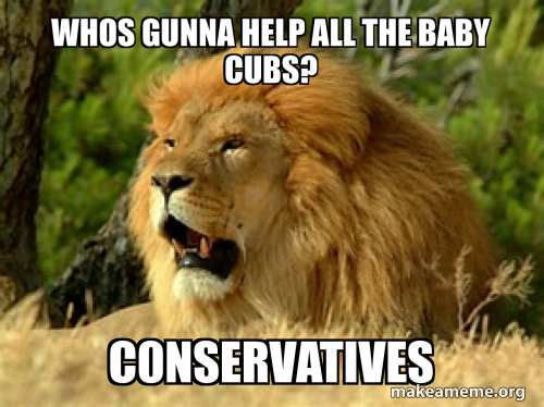 Whos gunna help all the baby cubs? c0nservatives | Make a Meme