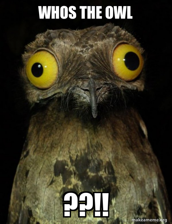 whos the owl ??!! - Weird Stuff I do Potoo Meme Generator