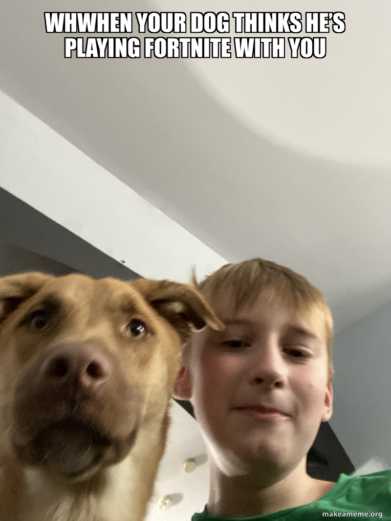 WhWhen your dog thinks he’s playing Fortnite with you Meme Generator
