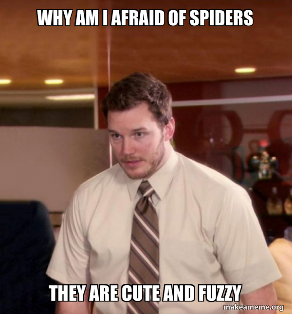 why am i afraid of spiders they are cute and fuzzy - Andy Dwyer - Too ...