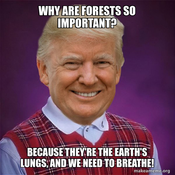 Why are forests so important? Because they're the Earth's lungs, and we ...