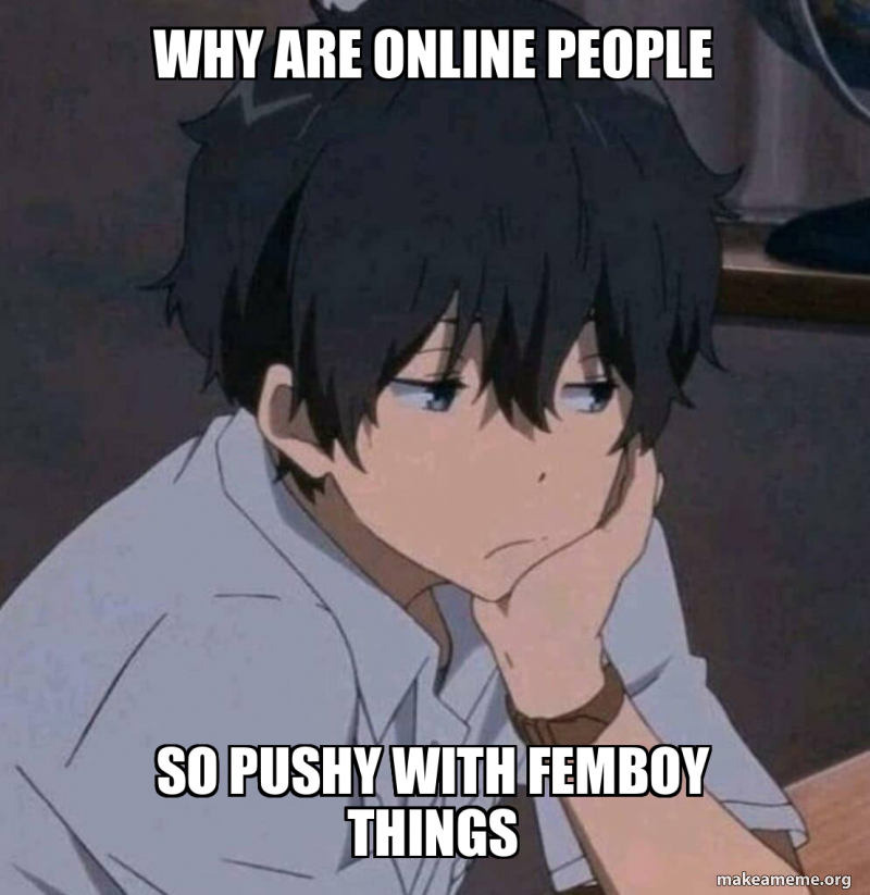 Why are online people So pushy with femboy things Meme Generator