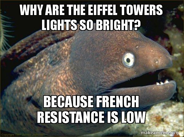 Why are the eiffel towers lights so bright? Because French resistance ...